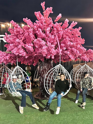 Peter Pan's Backyard