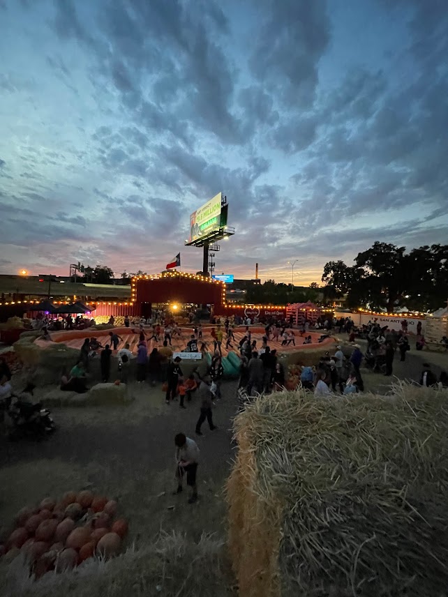 Peter Pan's Backyard