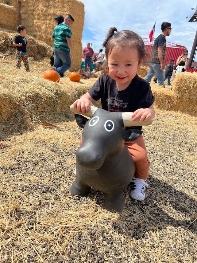 Peter Pan's Backyard