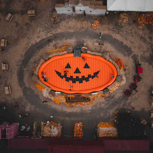 Peter Pan's Backyard